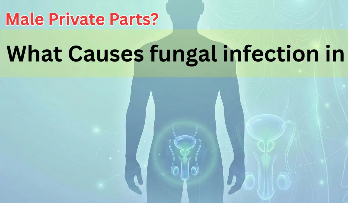 What Causes Fungal Infection In Male Private Parts? Symptoms, Diseases ...