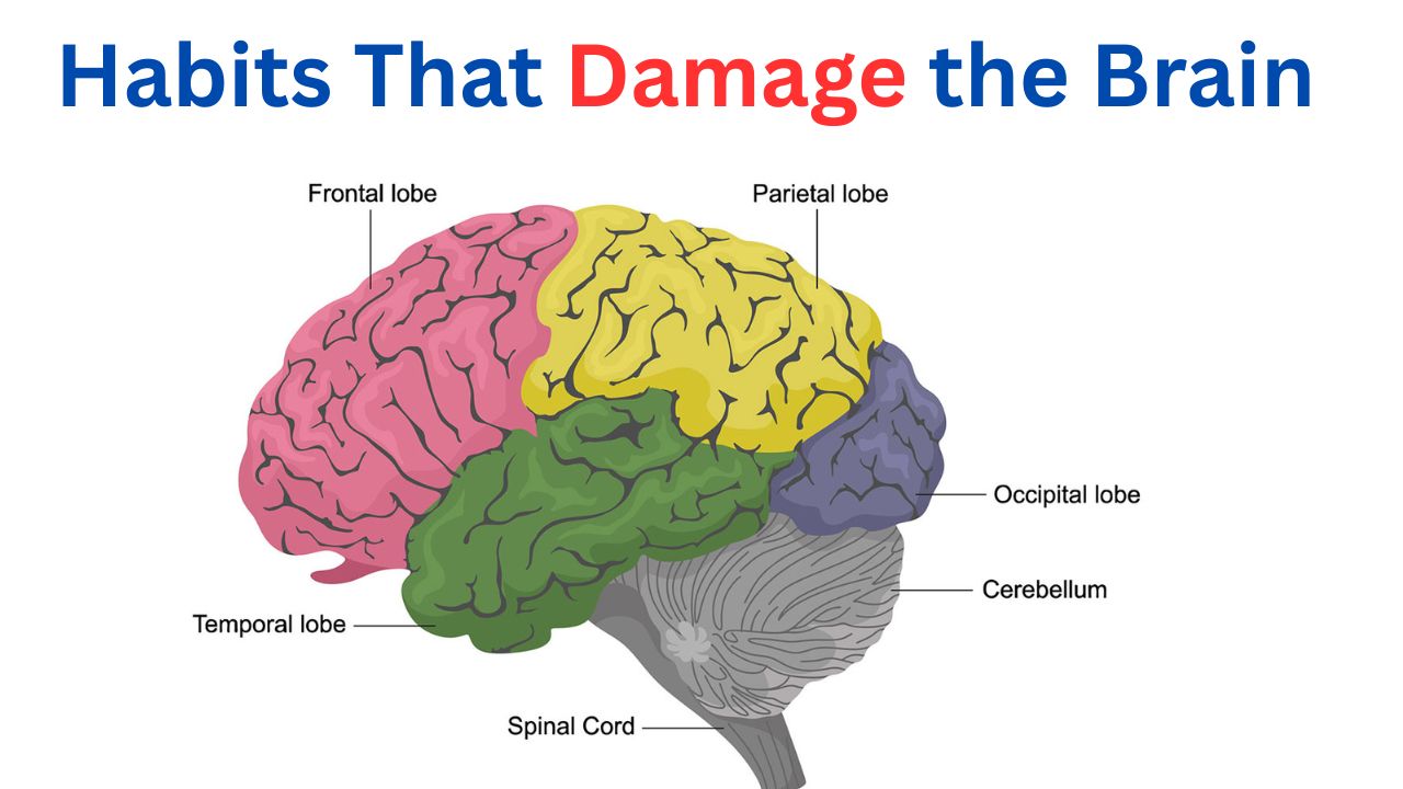 What To Do When Your Brain Is Not Working? Dr. Daniel Amen’s Proven ...