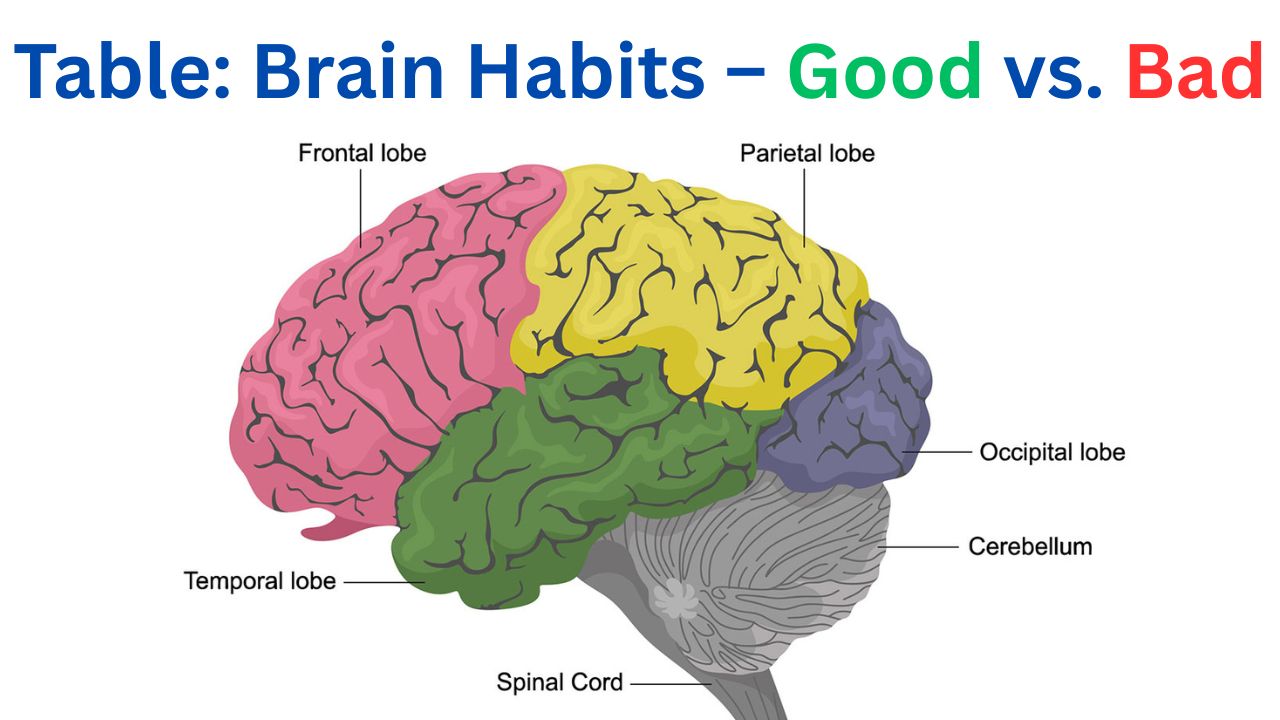 What To Do When Your Brain Is Not Working? Dr. Daniel Amen’s Proven ...